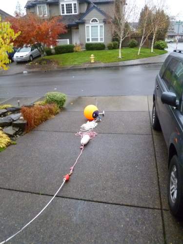 ArimaOwners.com - quick Anchor Setup