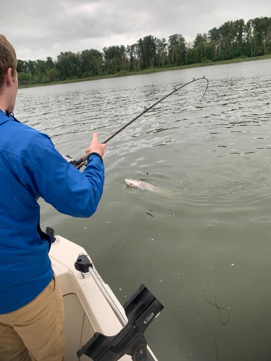 ArimaOwners.com - CR gator