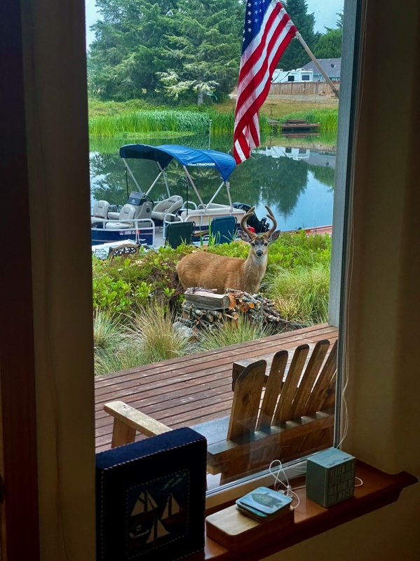 ArimaOwners.com - Boat Buck
