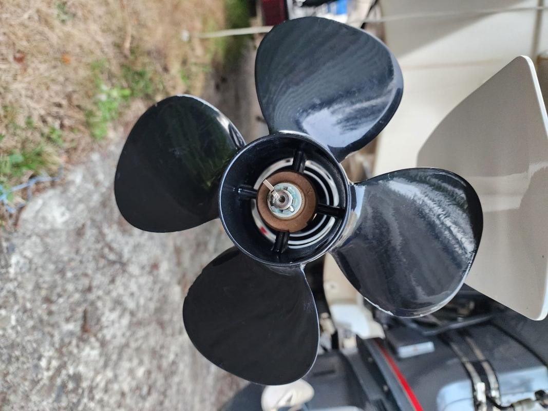 Suzuki 9.9 Vibration