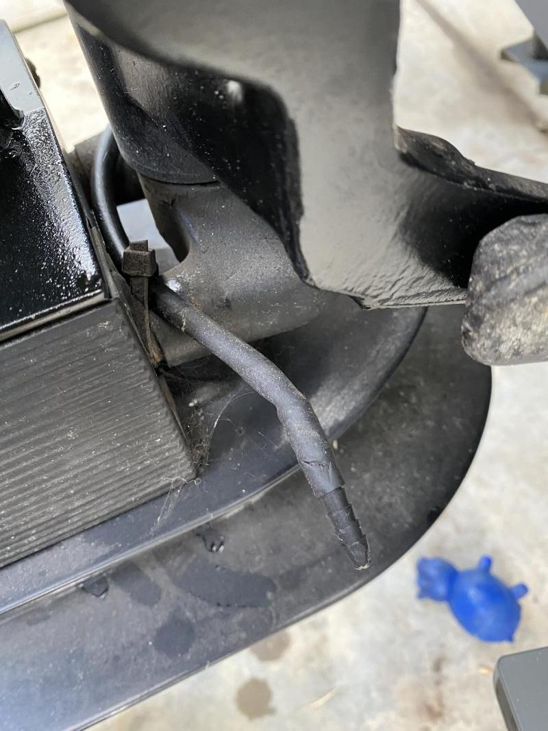 ArimaOwners.com - 3C229E21-1618-4D5F-82C5-EF7D30D2CF88.jpeg