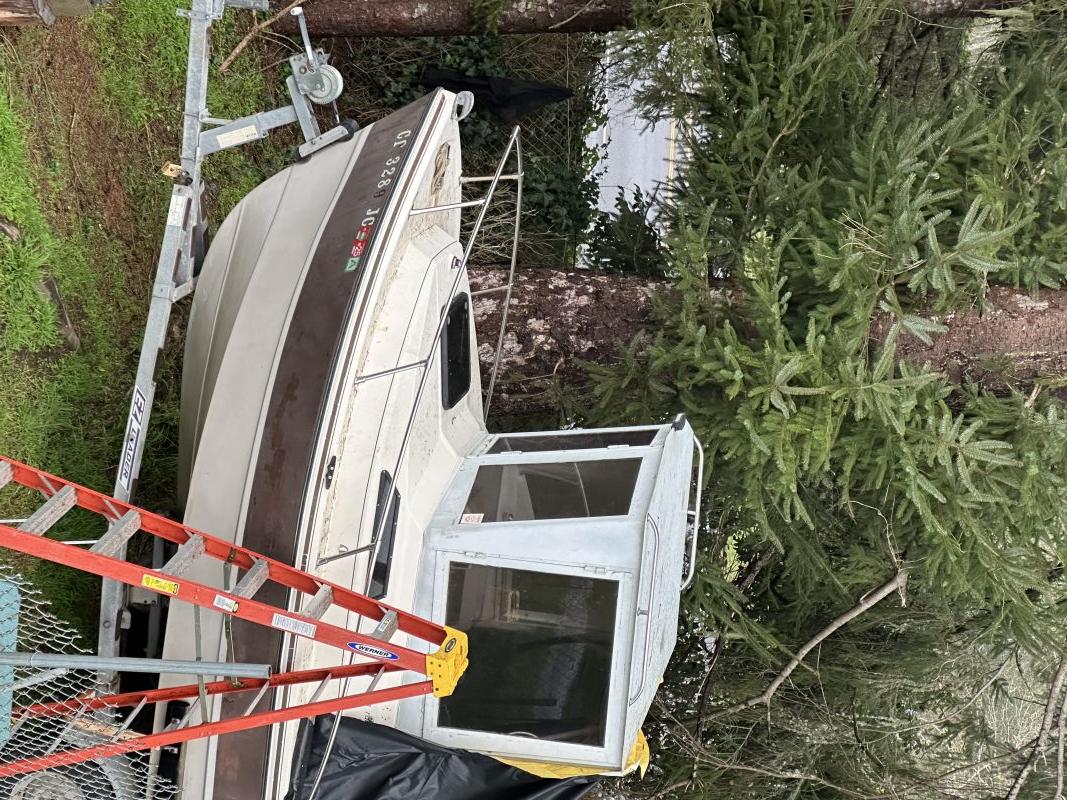 ArimaOwners.com - IMG_1536.jpeg