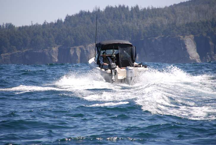 ArimaOwners.com - Canvas Guy
