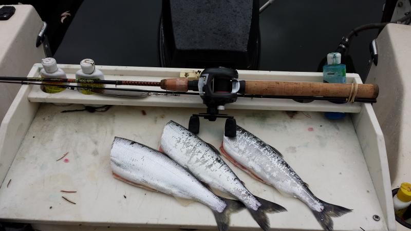 Lake Merwin Kokanee Fishing