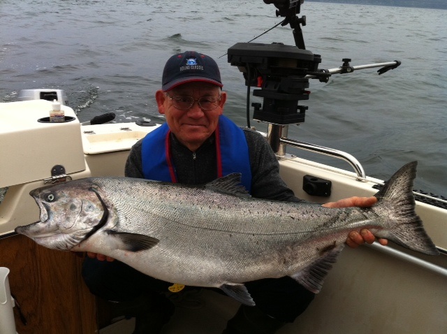 ArimaOwners.com - Puget Sound King
